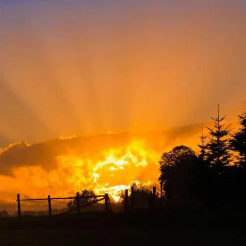 The Energizing Morning Routine For Ultimate Productivity And
